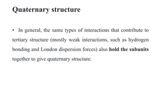 PPT Protein Structure.pptx