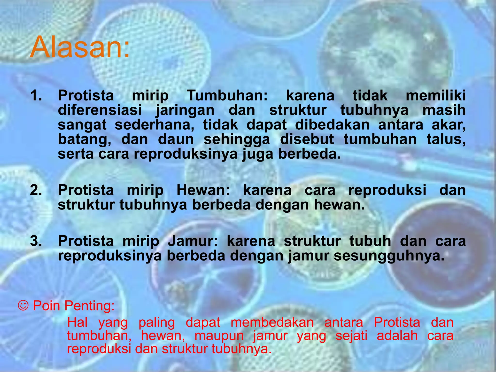 PPT PROTISTA.pptx
