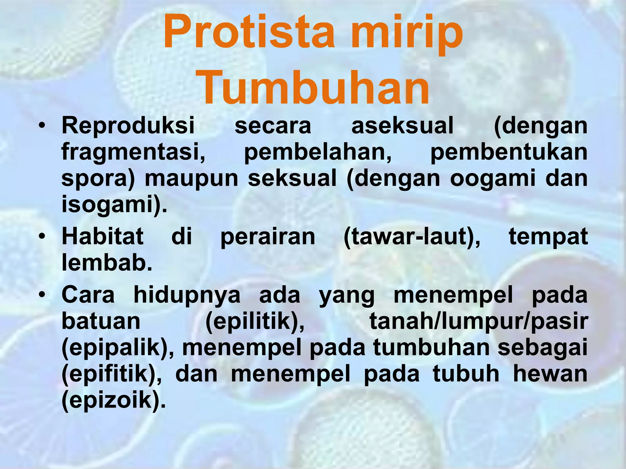 PPT PROTISTA.pptx