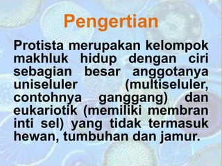 PPT PROTISTA.pptx