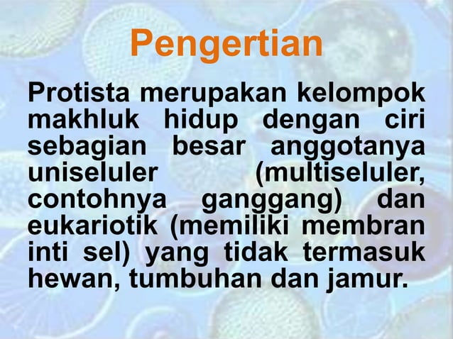 PPT PROTISTA.pptx