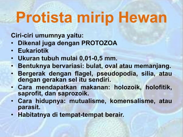 PPT PROTISTA.pptx