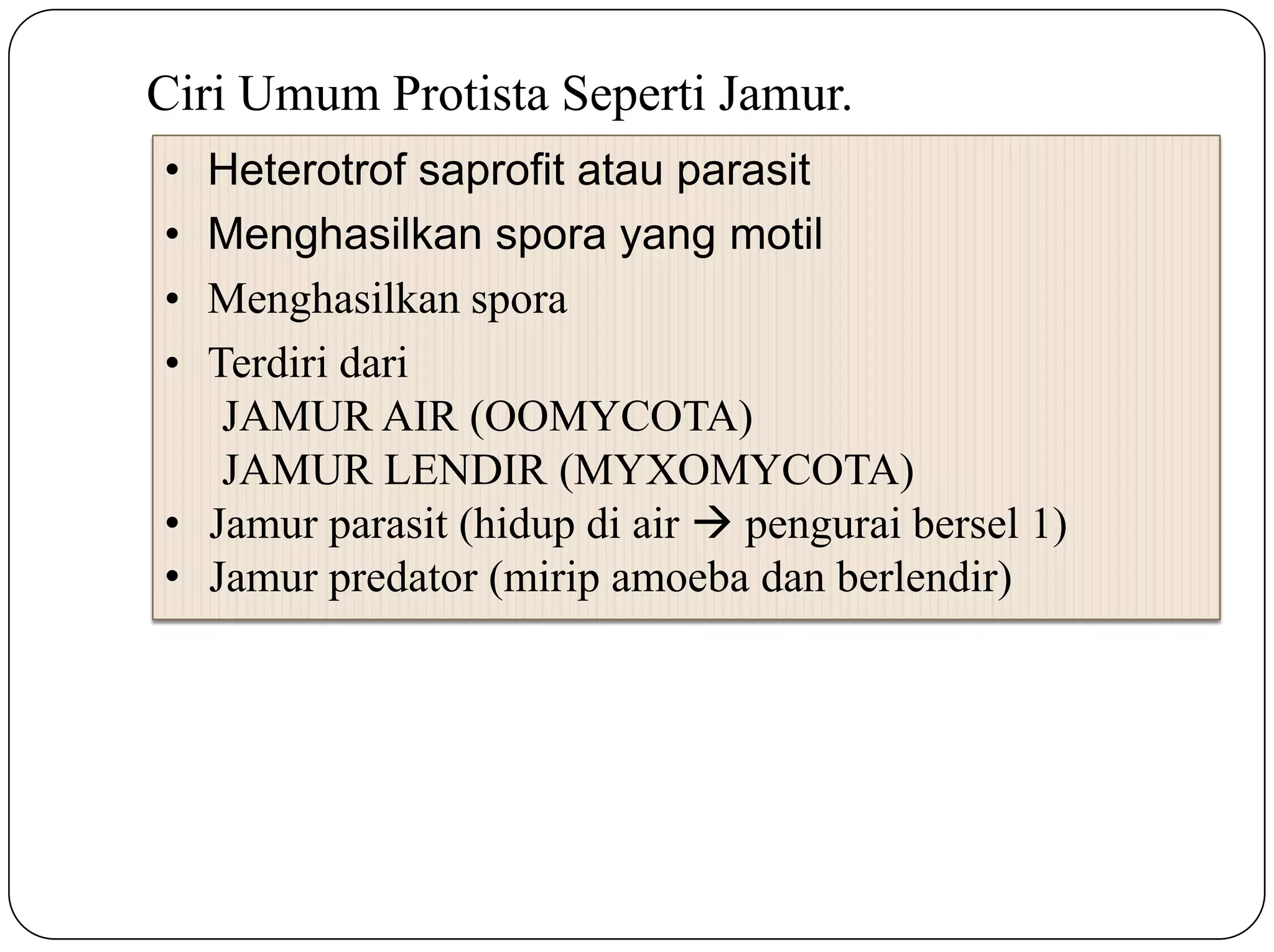 Ppt protista mirip jamur | PPT