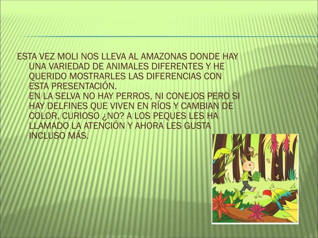 Proyecto La selva amazónica | PPT