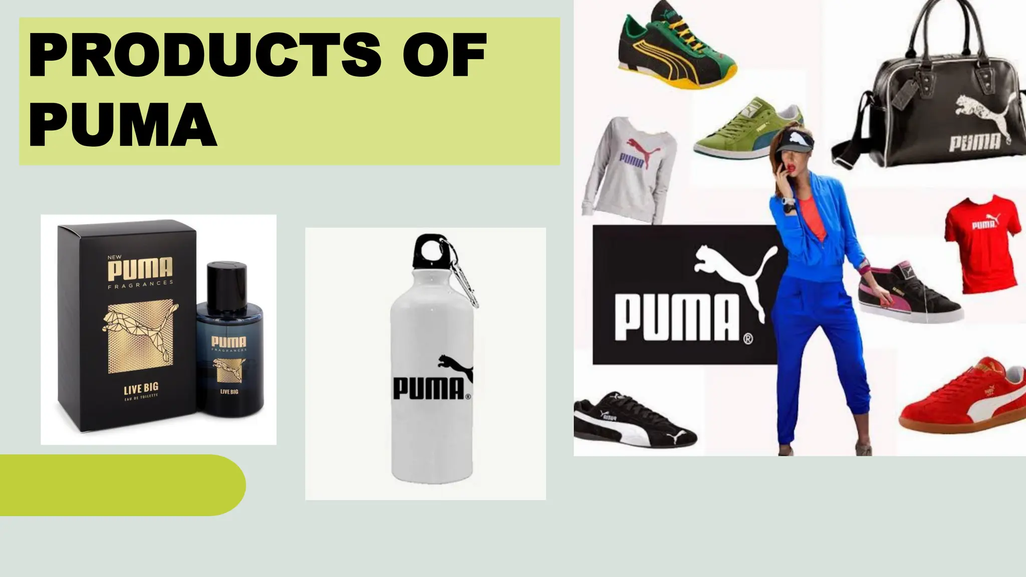 ppt puma.pdf
