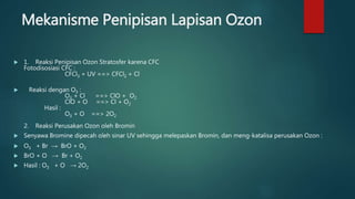 Ozon | PPTX