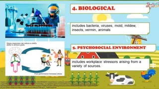 PPT Q3 TLE AGRI-CROP Lesson 4 safety farm operations.pptx