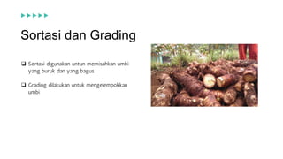 PPT Qoifani Azzahra (Talas).pptx