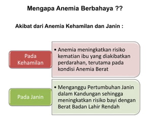 Anemia Ibu Hamil | PPTX