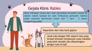 Rabies pada hewan dan cara pencegahannya.pptx