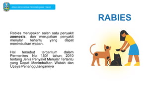 PPT Rabies Day lombok tengah tahun 2024.pptx