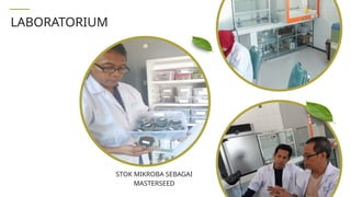 PPT PENGGUNAAN PUPUK HAYATI PADA TANAMAN PANGANpptx | PPTX