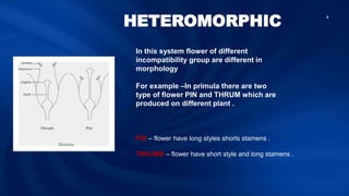 self incompatibility and male sterility. pptx | PPTX