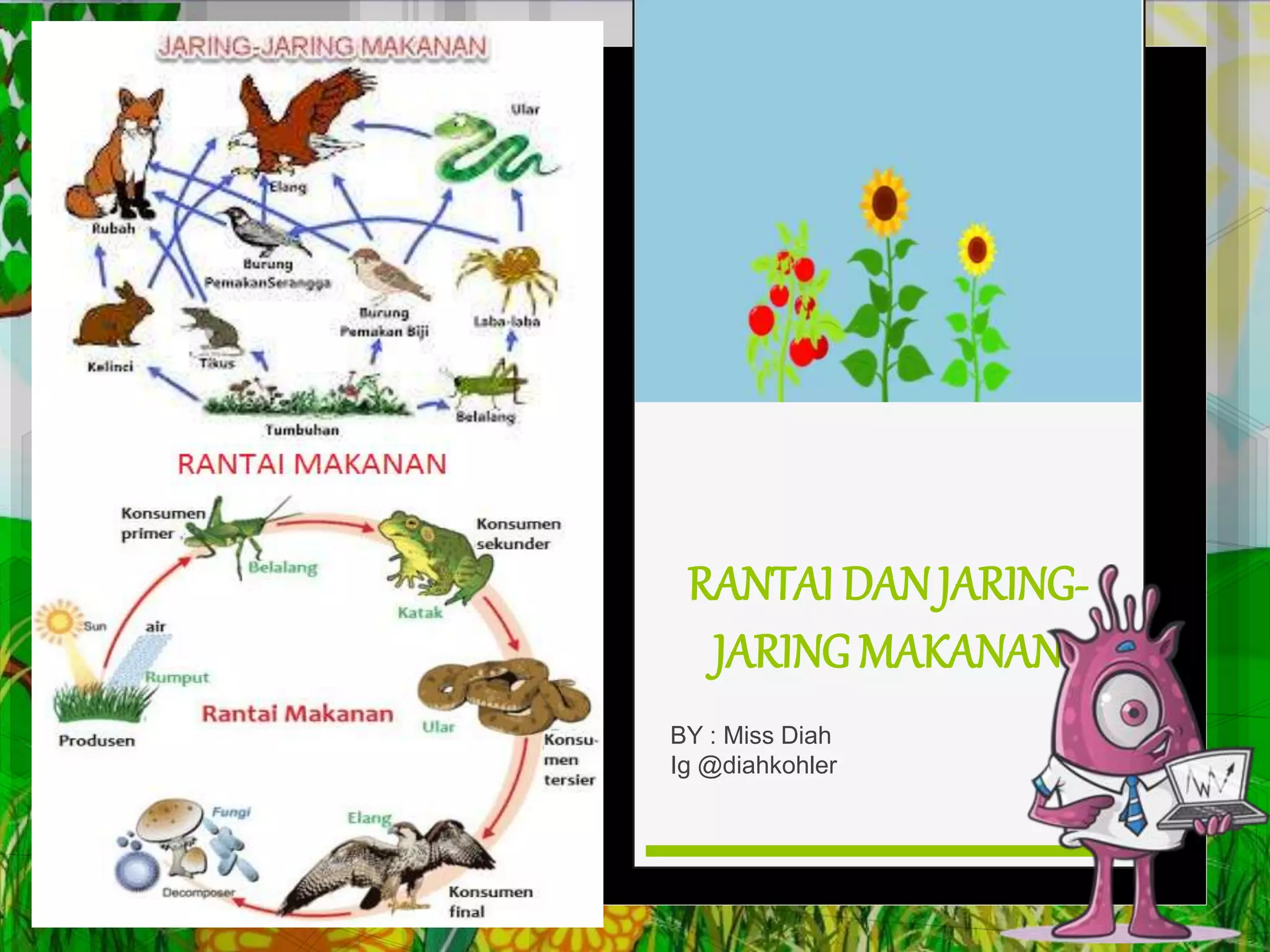 Ppt rantai dan jaring jaring makanan | PPSX