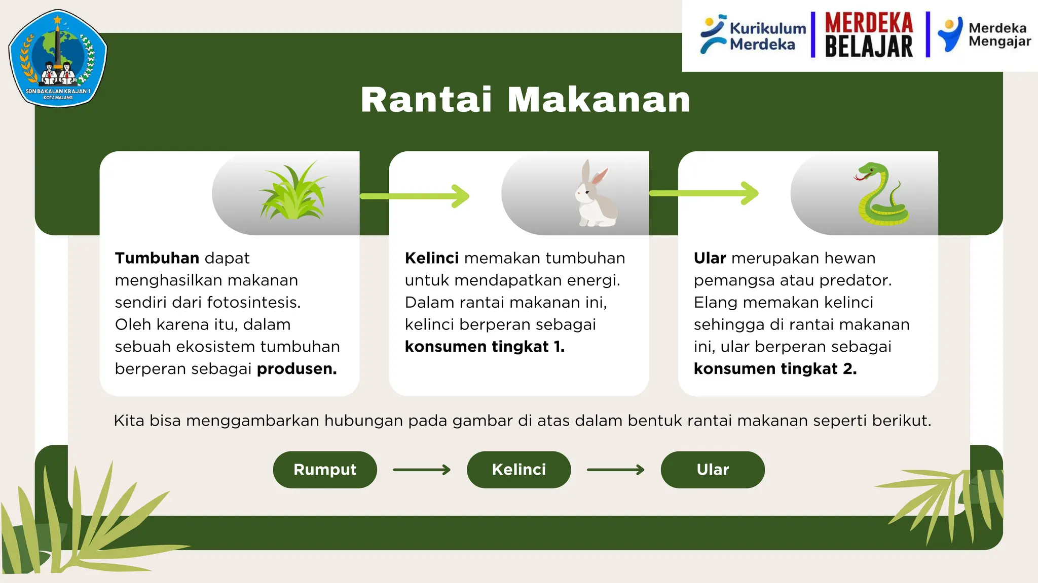 PPT rantai makanan ipas kelas5 kumer.pdf