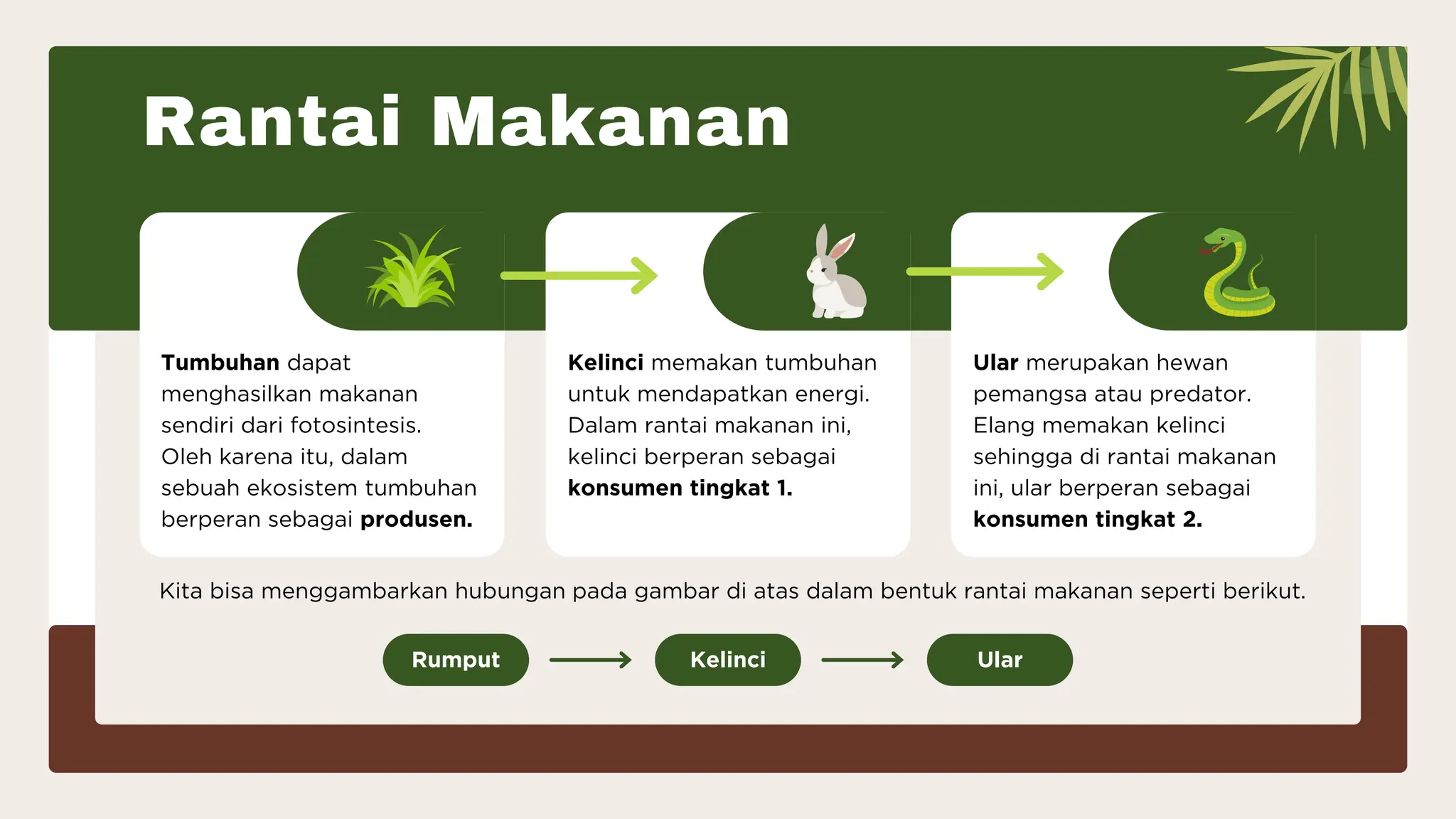 PPT RANTAI MAKANAN YANG MENCERITAKAN TENTANG PEMBELAJARAN RANTAI MAKAN ...