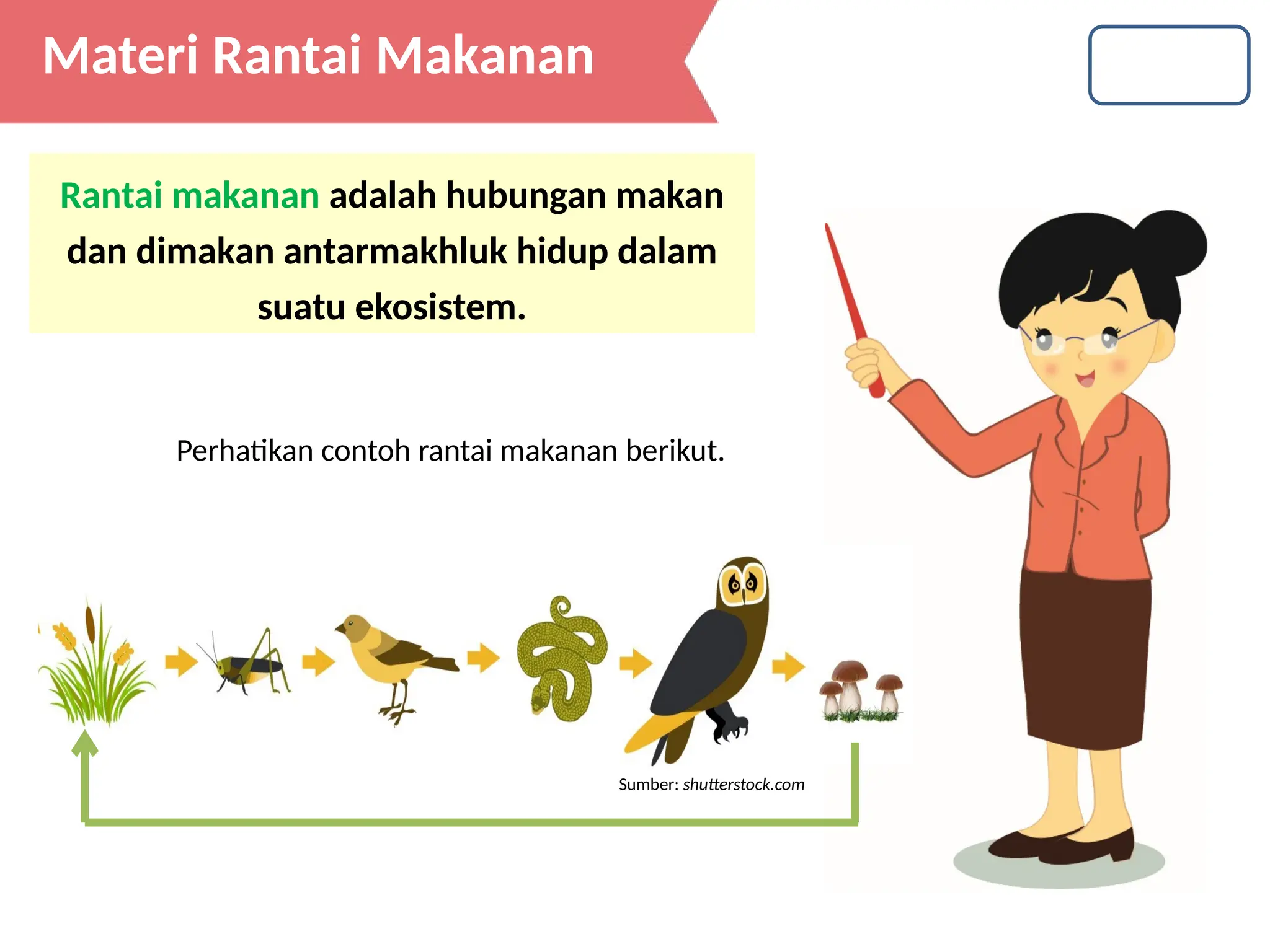 PPT RANTAI MAKANAN Kelas 5SD Kurmer.pptx