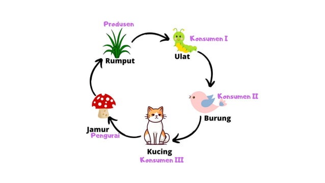 PPT RANTAI MAKANAN DI SEKOLAH DASAR KELAS V | PPTX