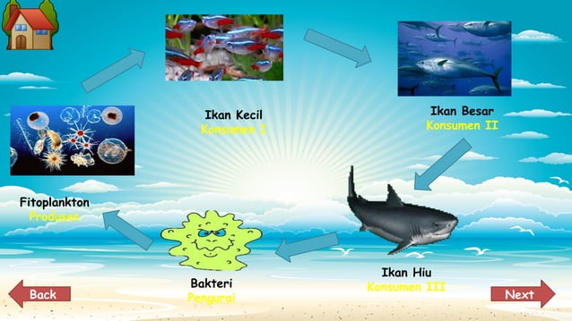 PPT RANTAI MAKANAN DI SEKOLAH DASAR KELAS V | PPTX