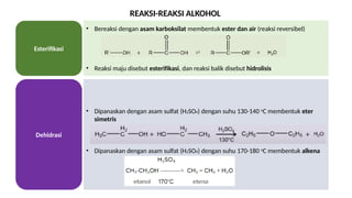 Jenis-Jenis Reaksi Senyawa Turunan Alkana | PPT | Free Download