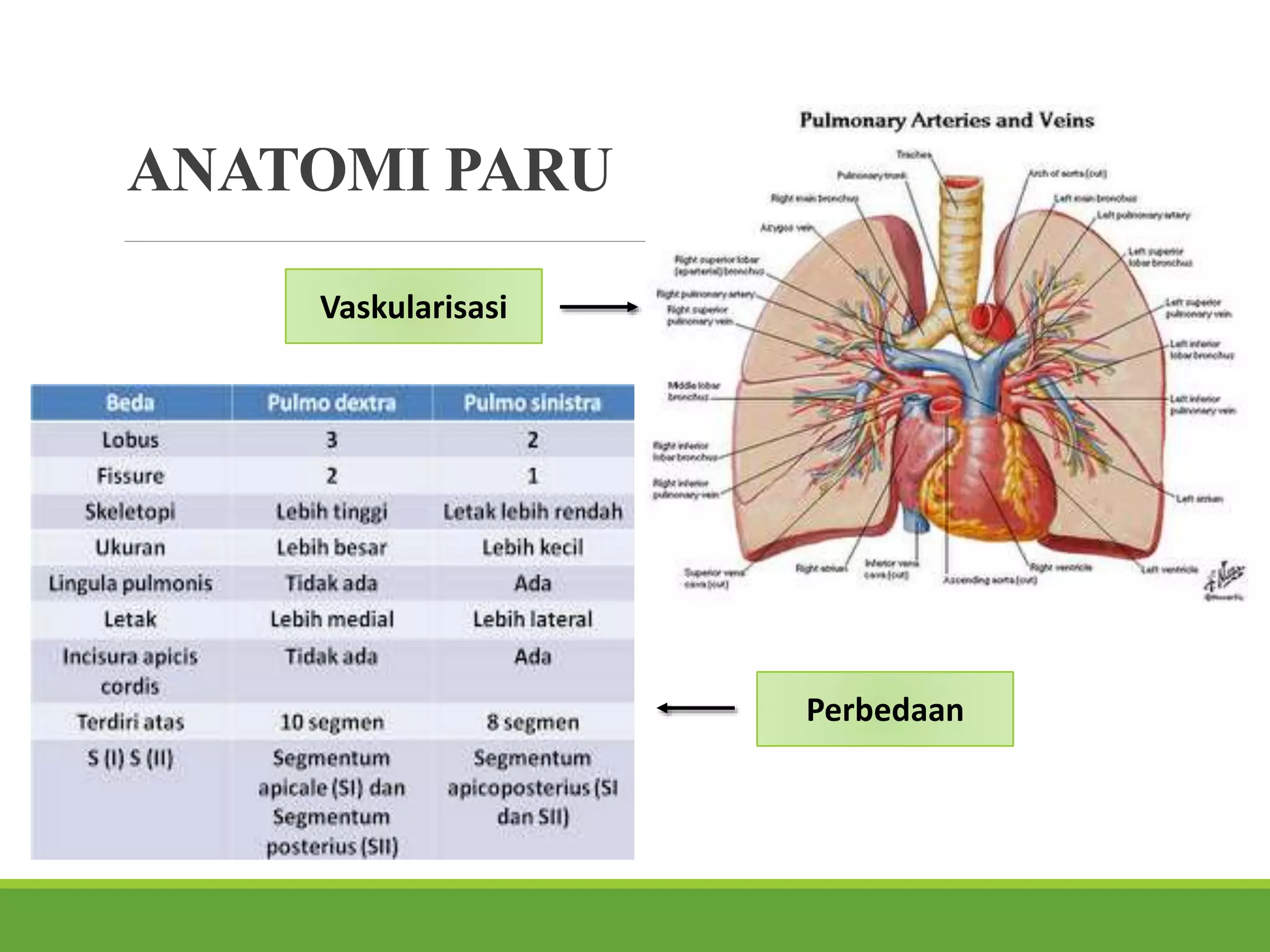 PPT_REFERAT_EDEMA_PARU.ppt