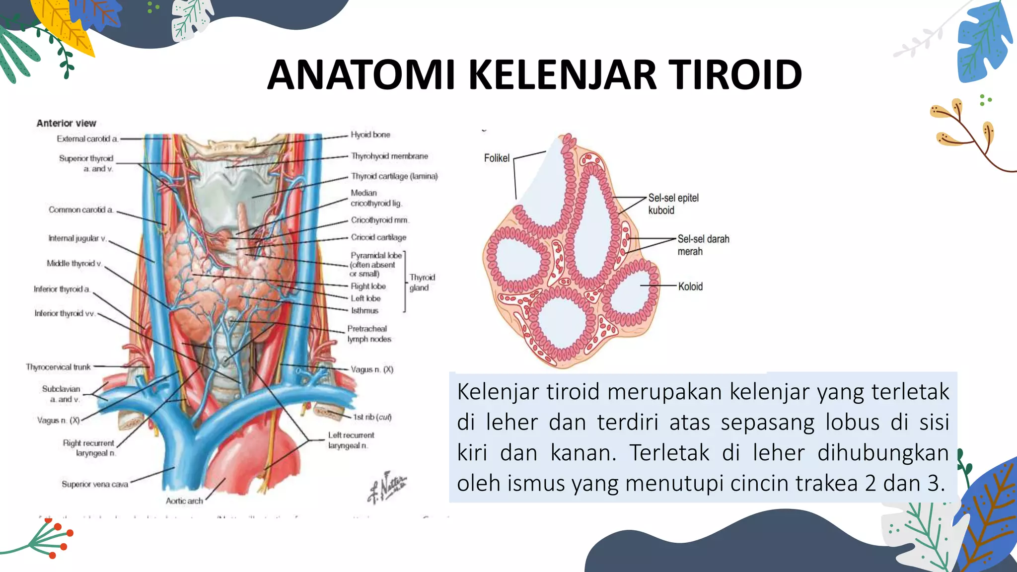Ppt referat hipertiroid nanda yunita af 22004101036 | PPTX