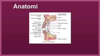 PPT REFERAT MATA MYASTENIA GRAVIS...pptx