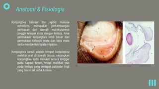 refleksi pterigium mata kedokteran Undata | PPT