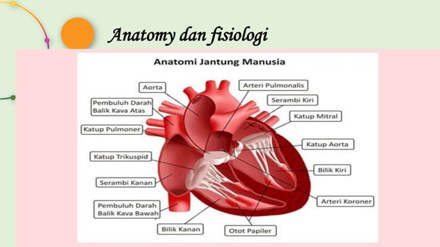 PPT Ref TOF ANDY.pptx