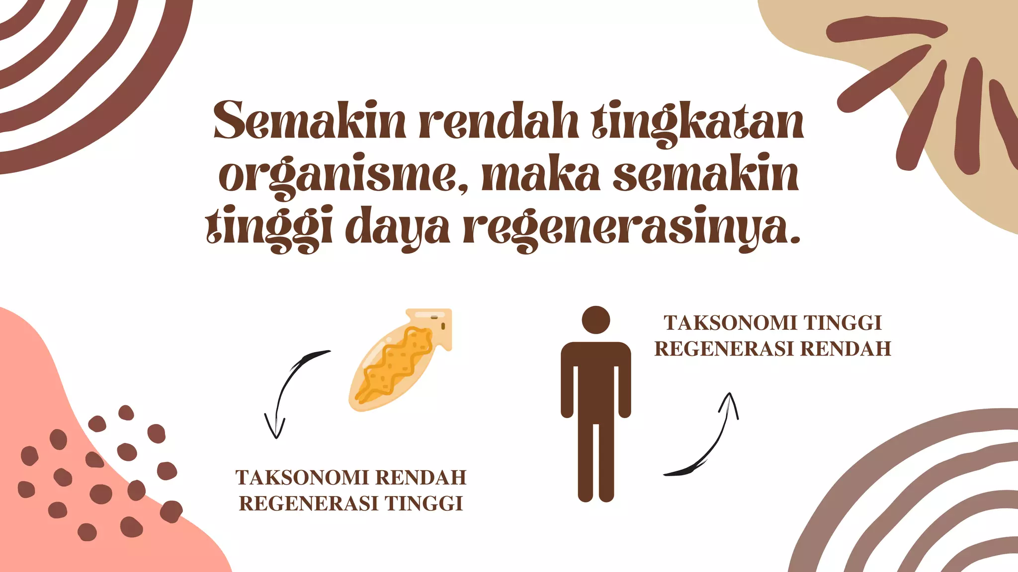 PPT REGENERASI.pdf