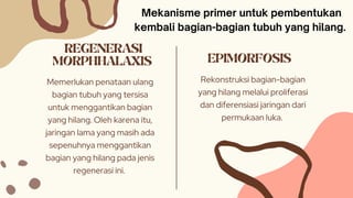 PPT REGENERASI.pdf