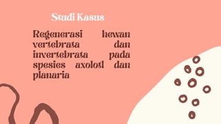 PPT REGENERASI.pdf