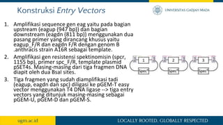PPT Rekgen Golden Gate final final.pptx