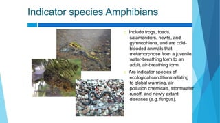 water pollution control and measurment | PPTX