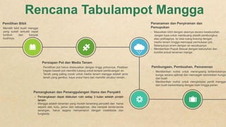 PPT_Rencana Tabulampot Mangga_240307.pdf