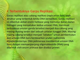 Ppt replikasi DNA | PPTX