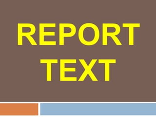 Report Text for Reading | PPT