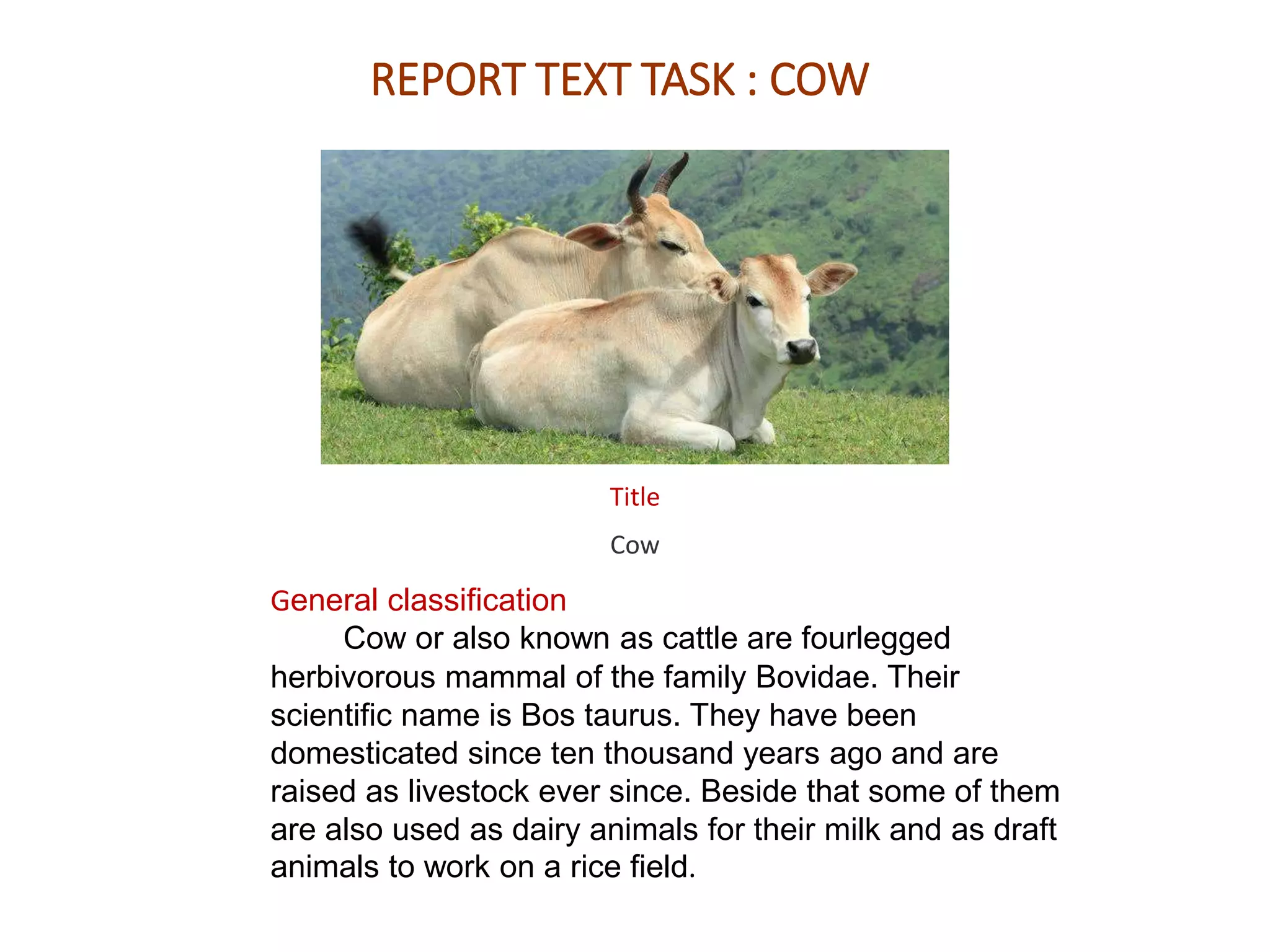 PPT Report Text.pptx