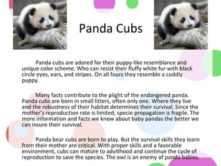 Power Point Materi REPORT TEXT Kelas IX | PDF