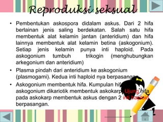 PPT Reproduksi Fungi | PPTX