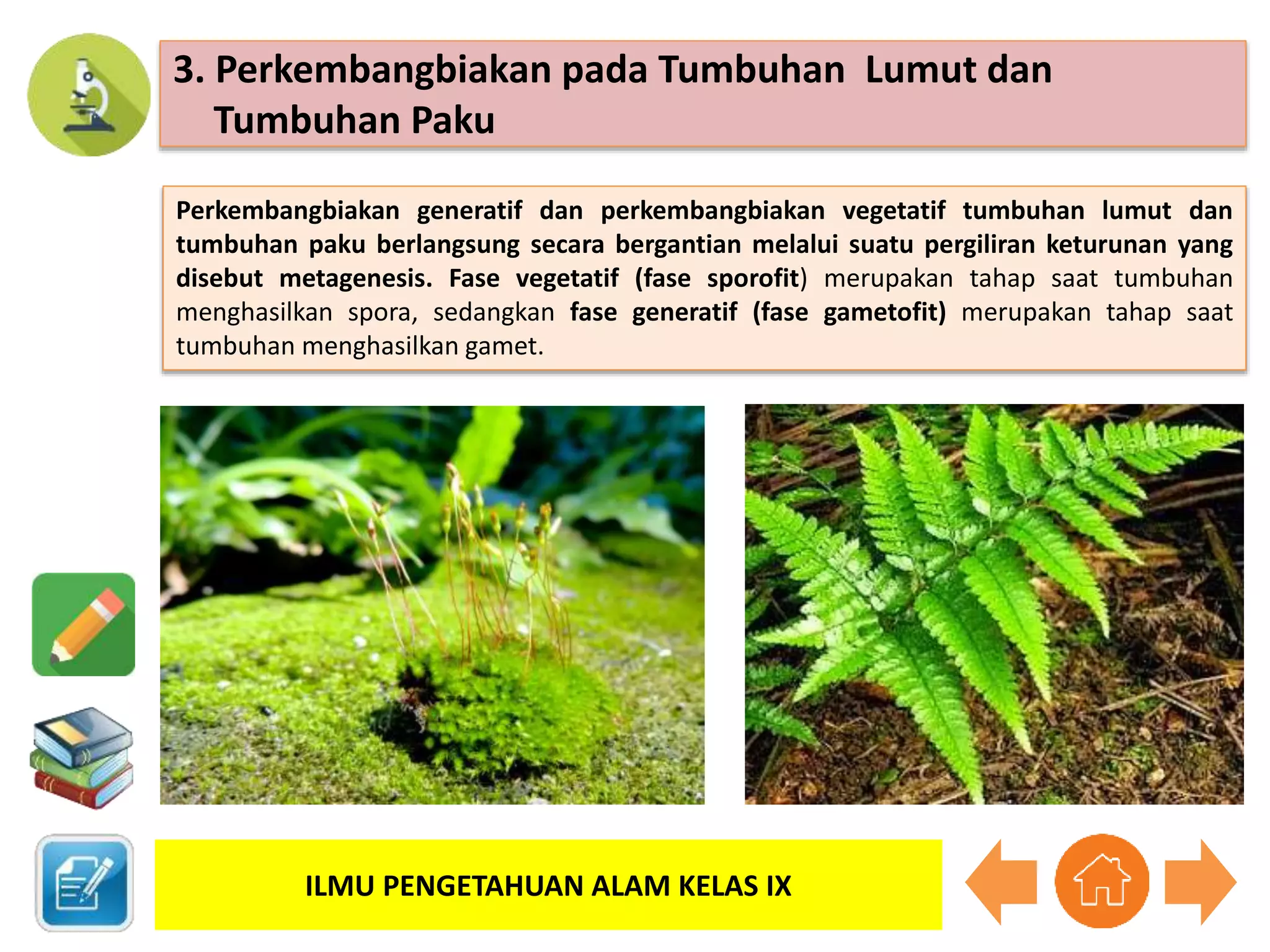 ppt reproduksi tumbuhan dan hewan.pptx
