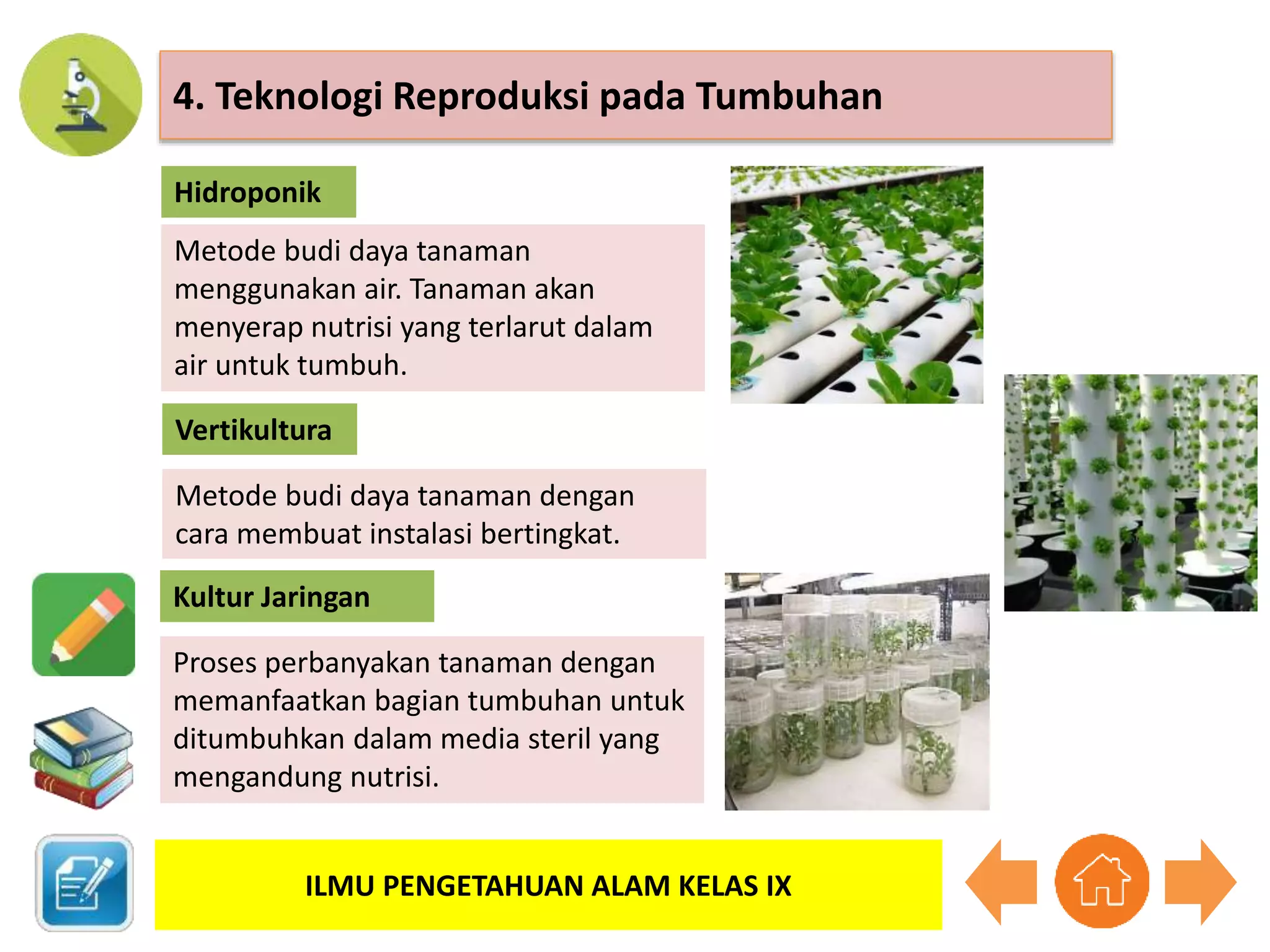 ppt reproduksi tumbuhan dan hewan.pptx