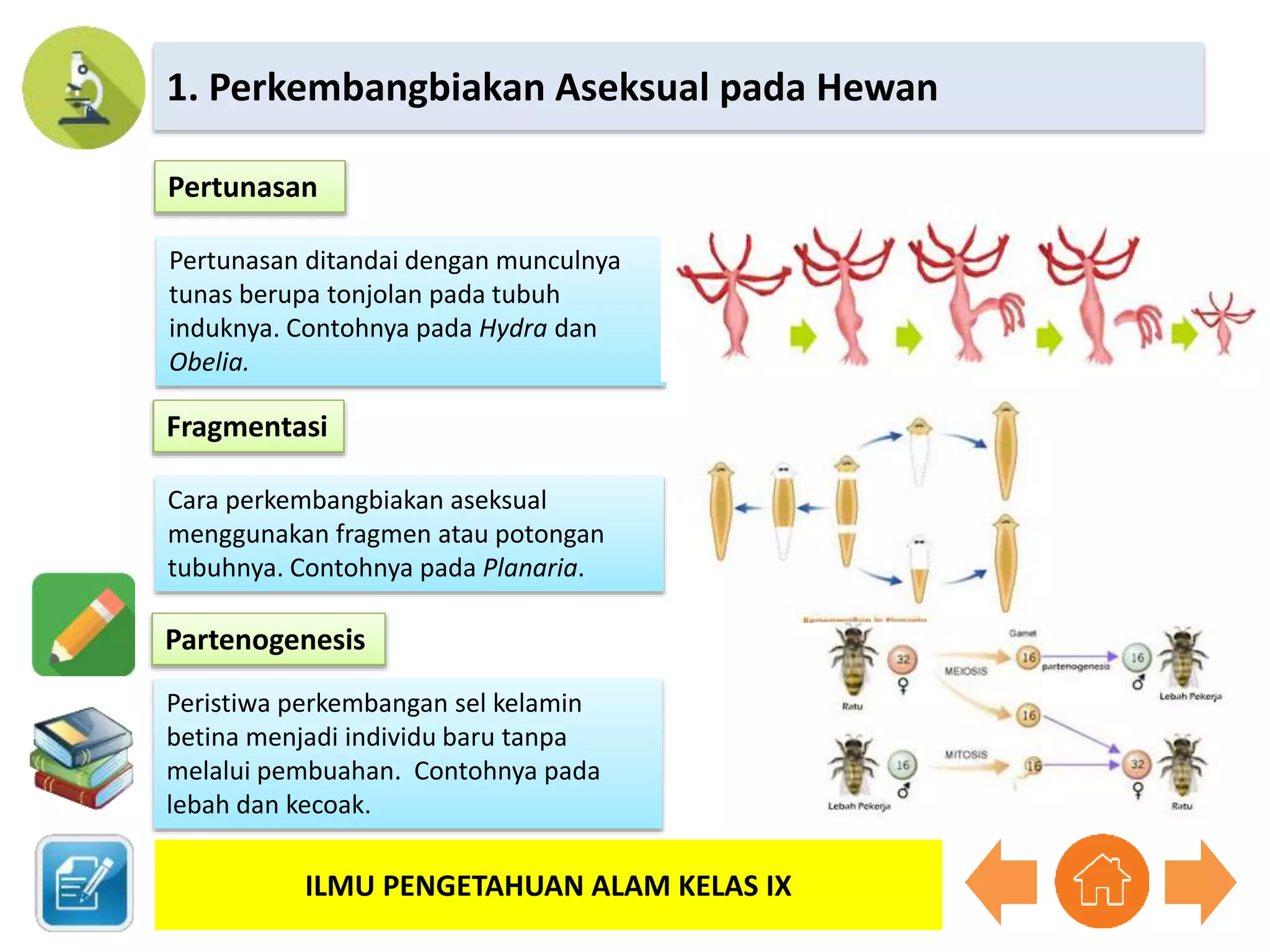 ppt reproduksi tumbuhan dan hewan.pptx