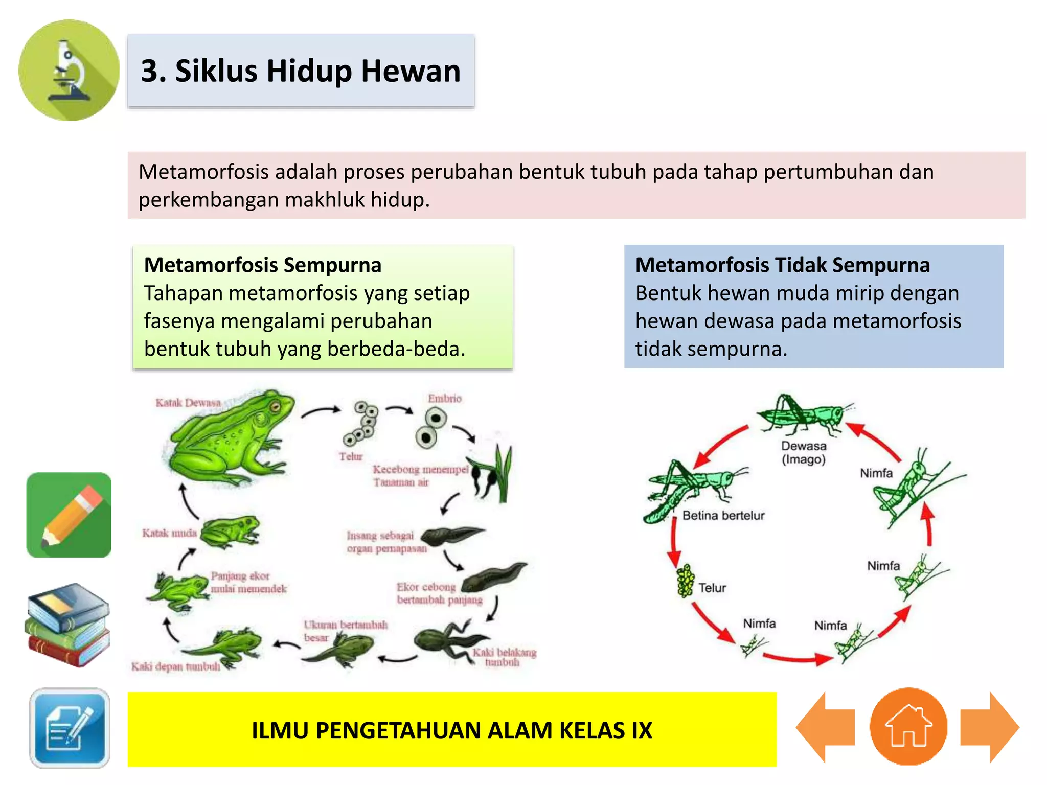ppt reproduksi tumbuhan dan hewan.pptx