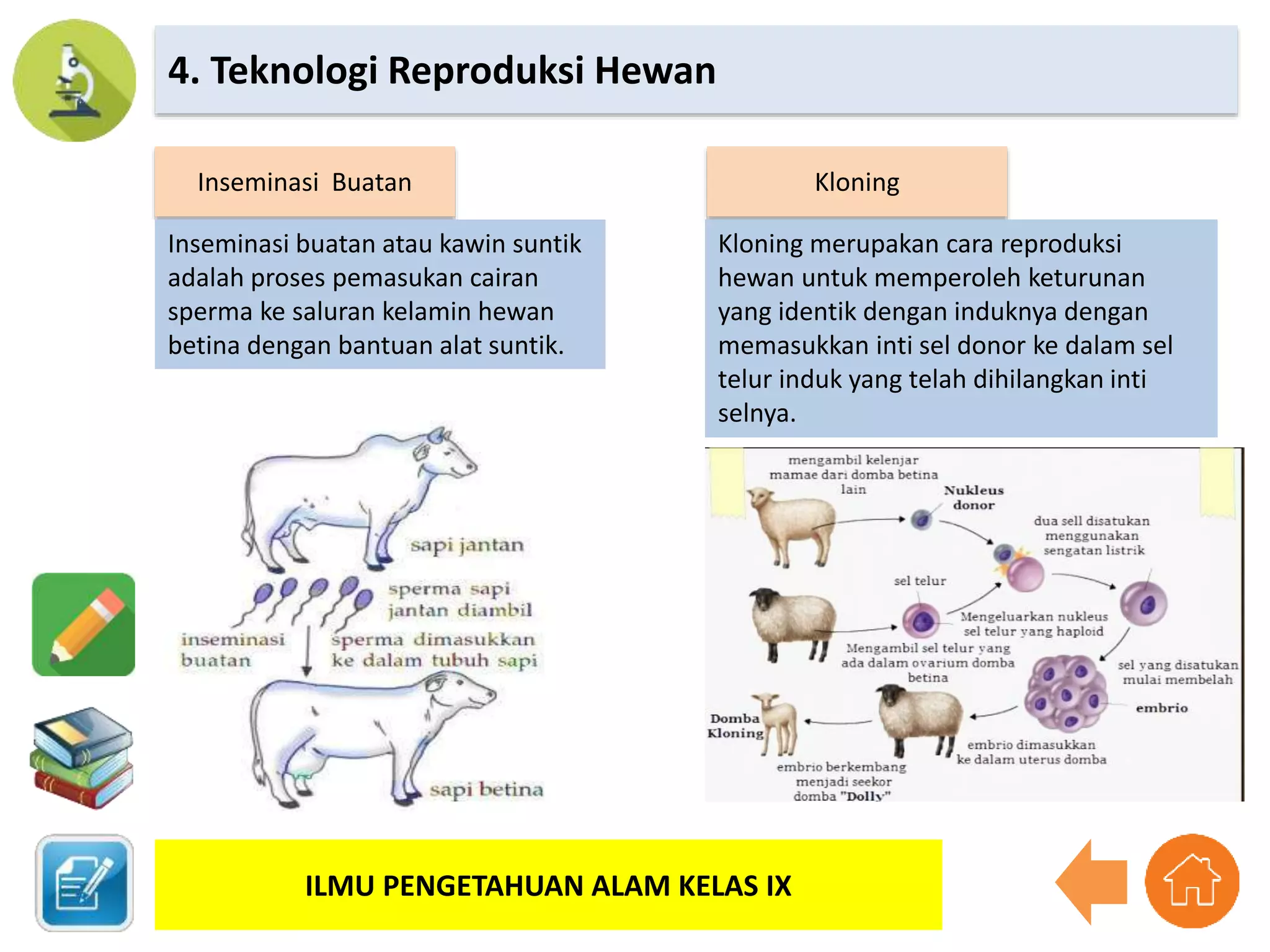 ppt reproduksi tumbuhan dan hewan.pptx