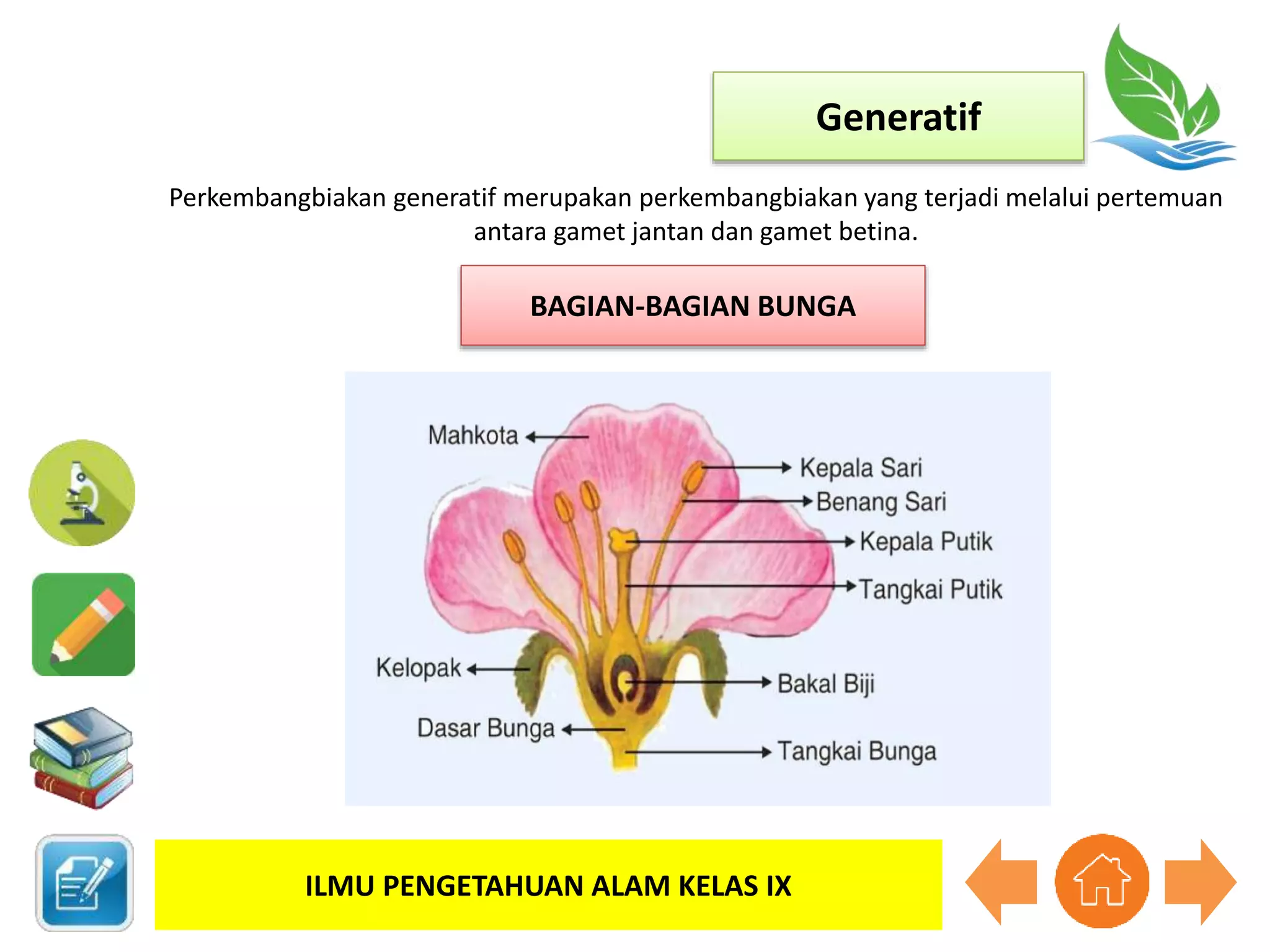 ppt reproduksi tumbuhan dan hewan.pptx