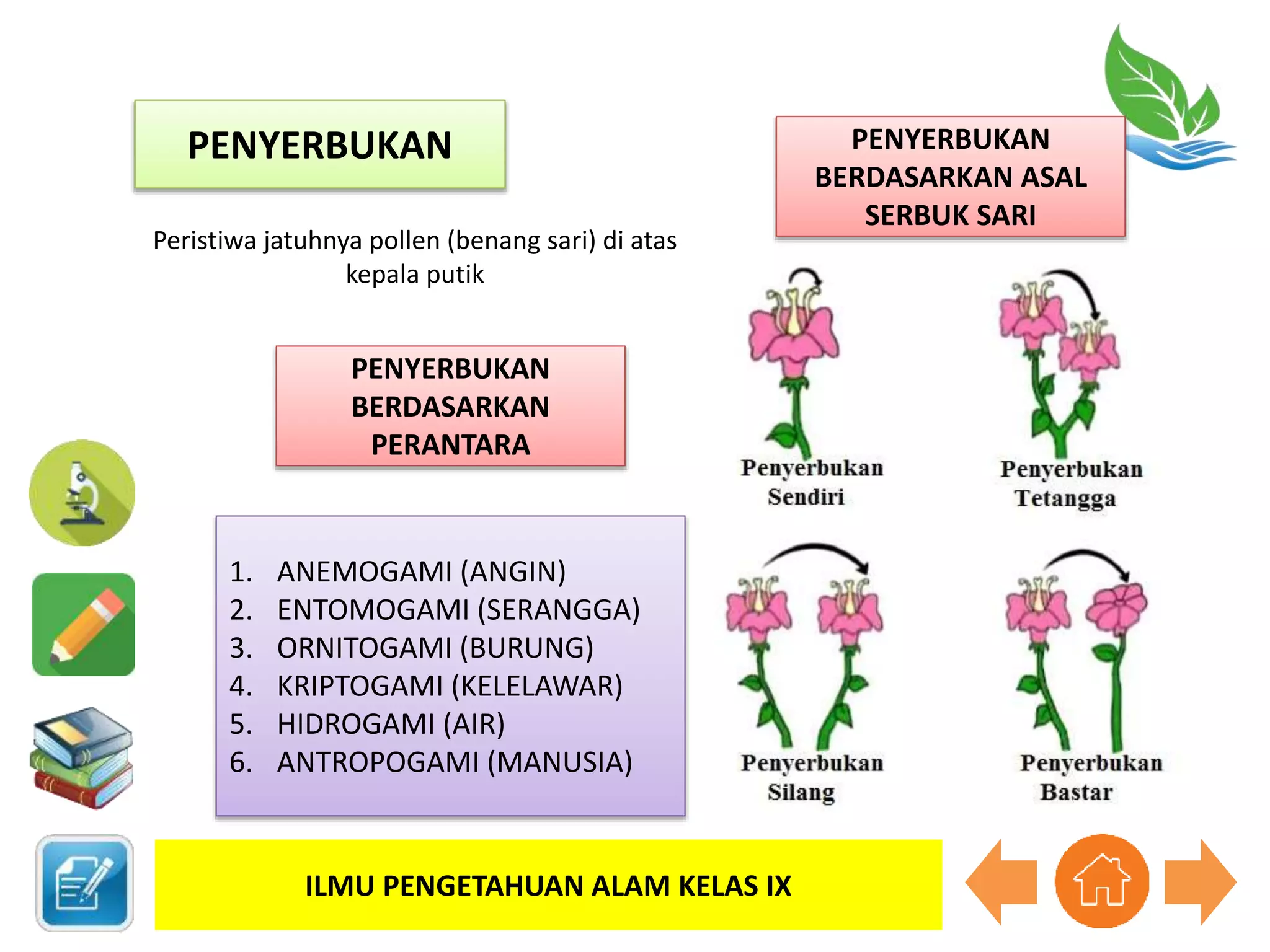 ppt reproduksi tumbuhan dan hewan.pptx