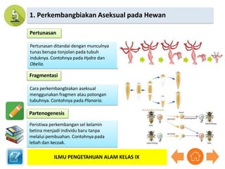 pptreproduksitumbuhandanhewan-221102011955-d53528c3 (1).pptx