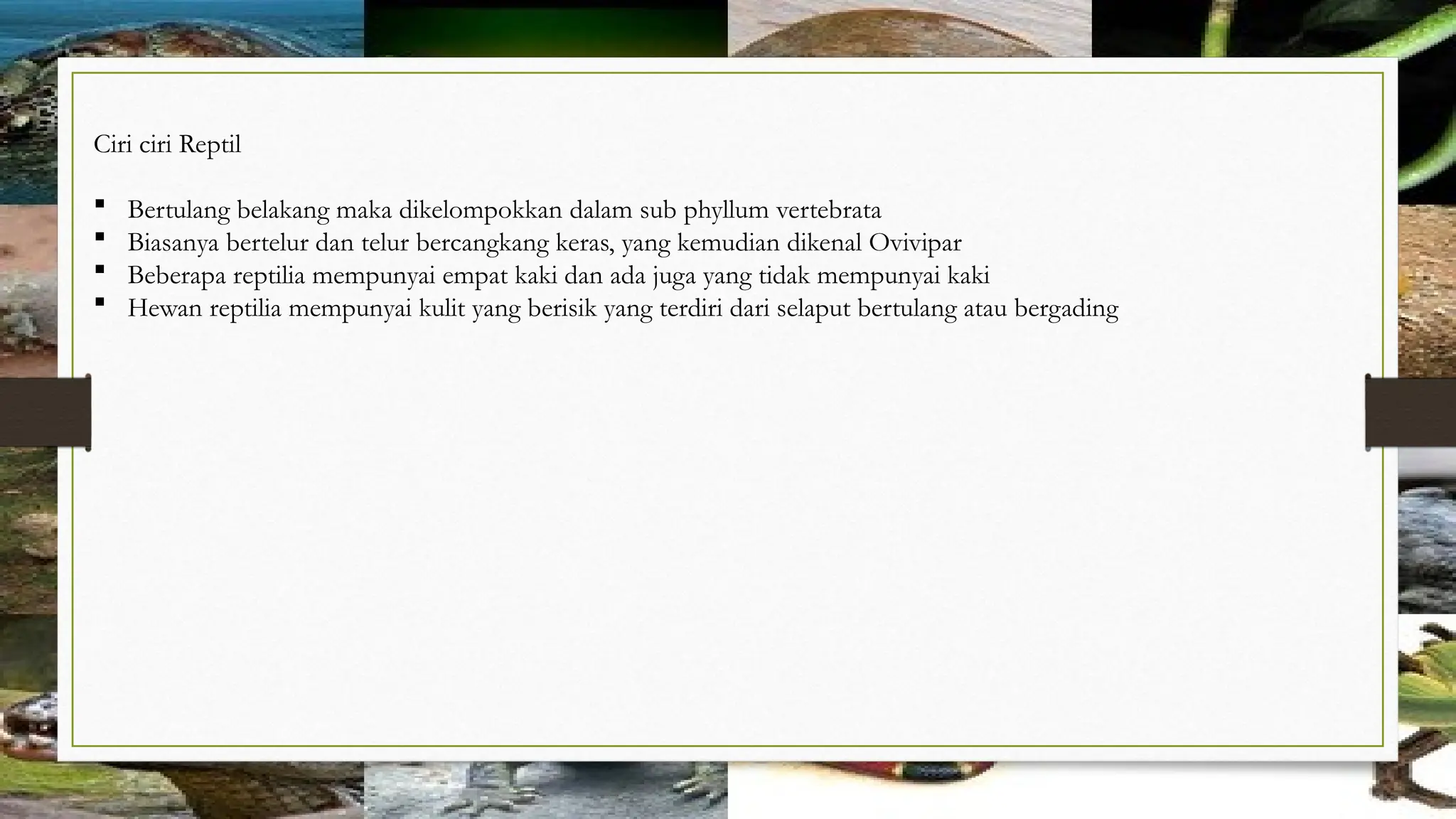 power point kelas reptilia kelompok 3.pptx