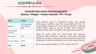 PPT Respirasi Aerob Kelas 12 SMA Kumer.pdf